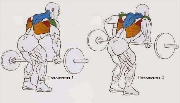 Bodybuilding And Fitness Тяга штанги в нахилі до поясу тяга до живота