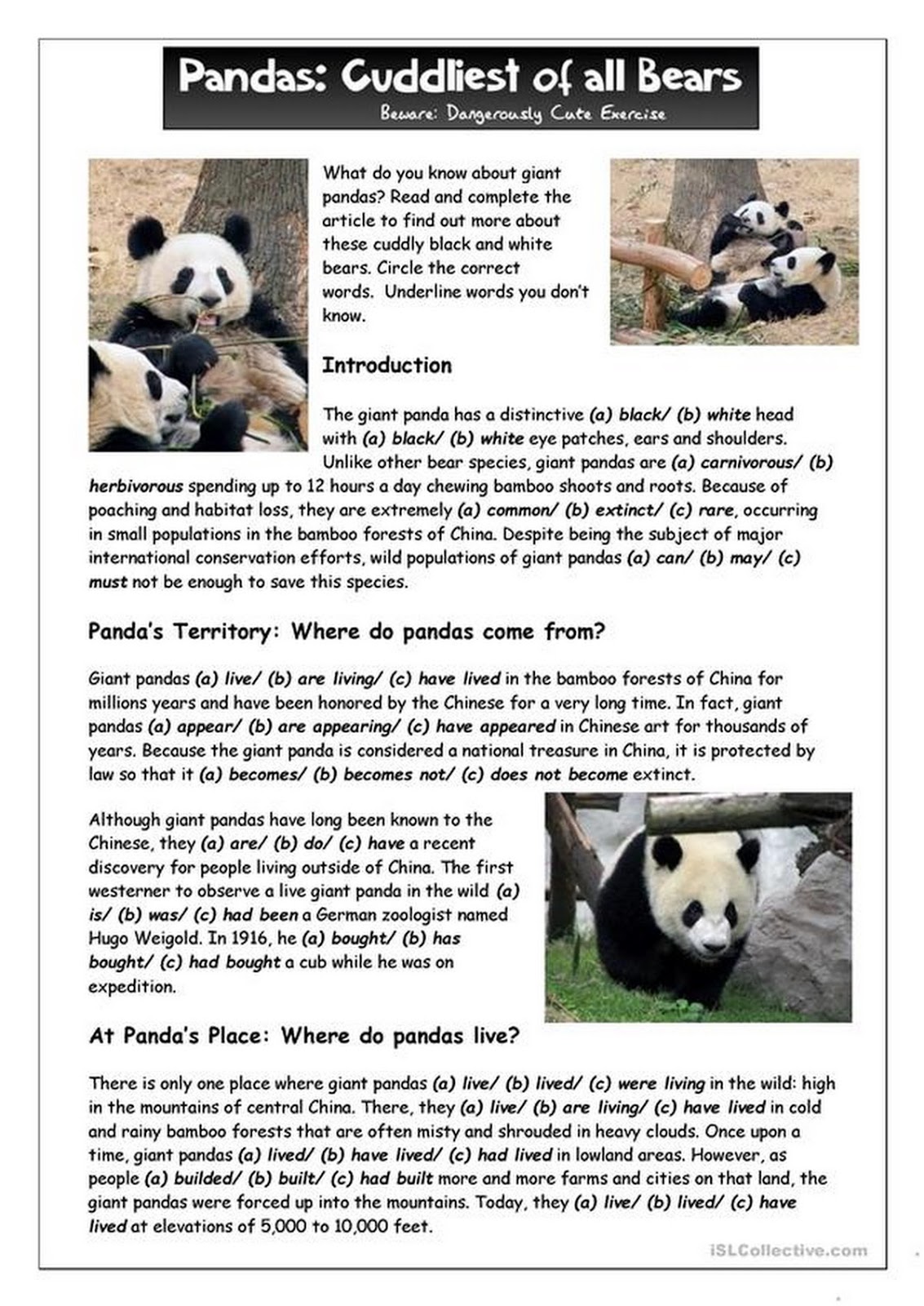 English As A Second Language Unidad 4 Grammar Pandas Cuddliest Of English As A Second Language Unidad 4 Grammar Pandas Cuddliest Of