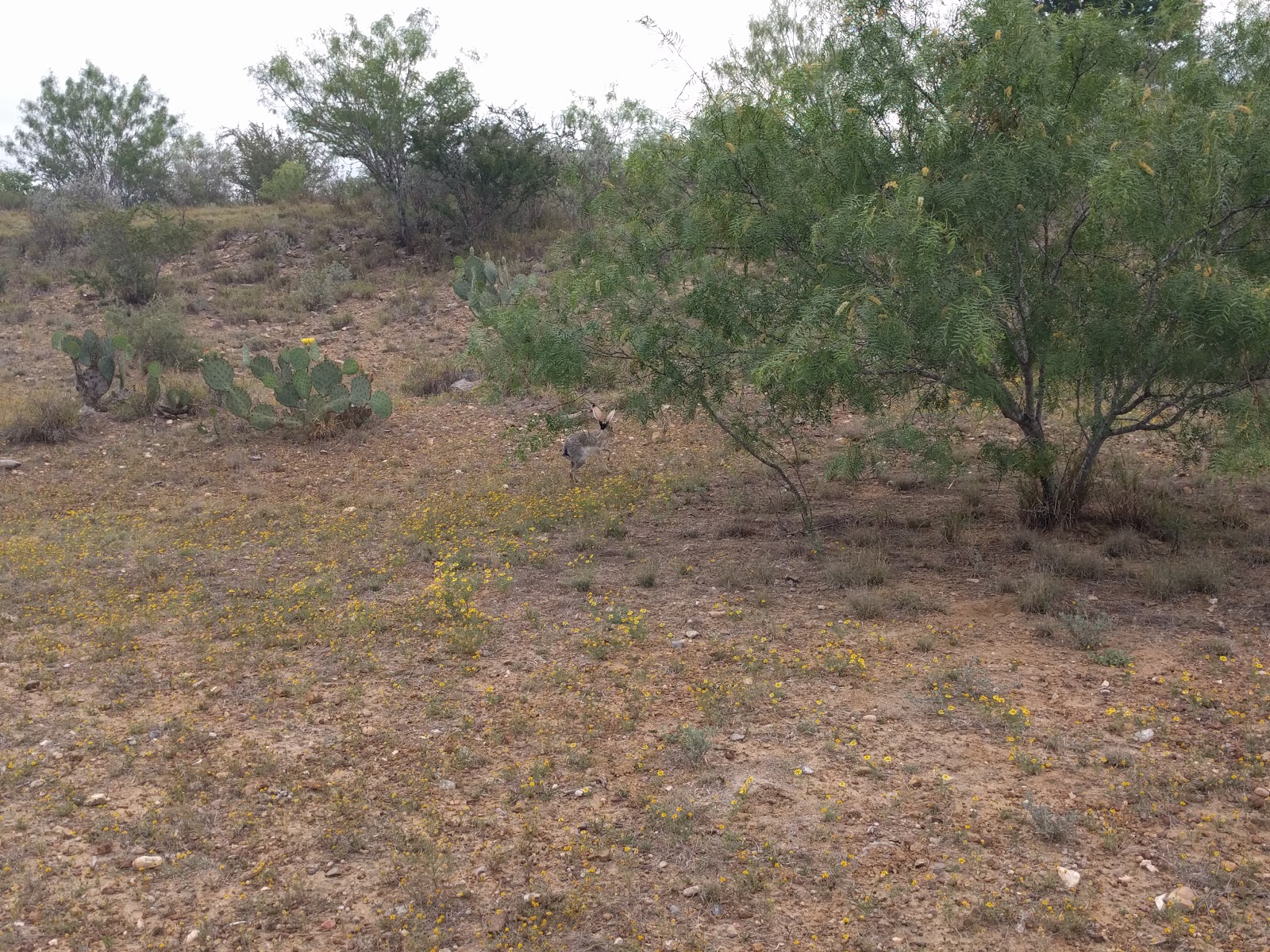 Nature Photography and Facts