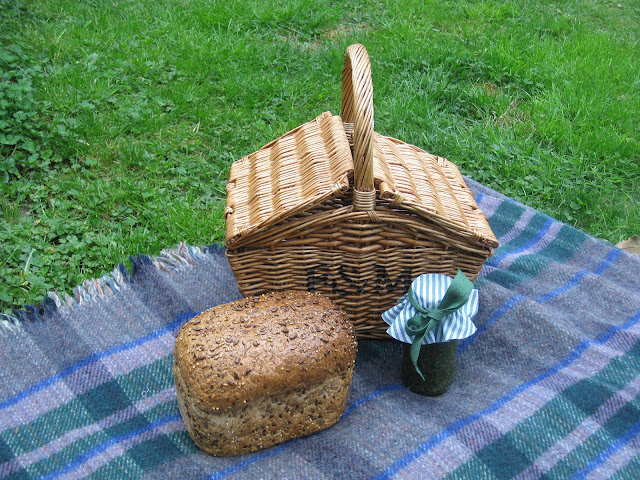 Me and my shadow: Free Forest Fun