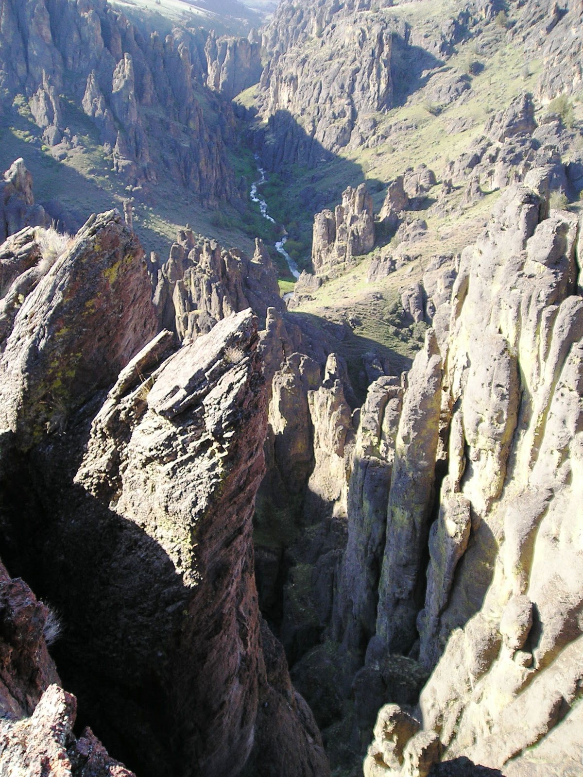 Birding Is Fun!: Three Forks of the Owyhee River