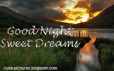 Download Free Good Night Wallpaper For Phone || Good Night Mobile ...