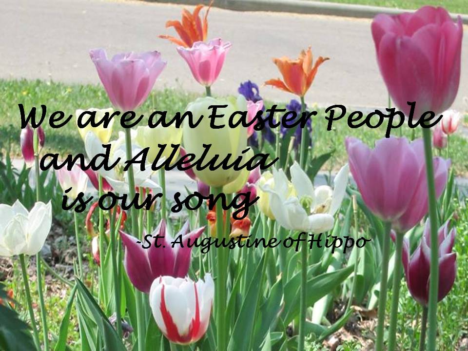 Simple Moodlings: Laudato Si: Easter Reflection