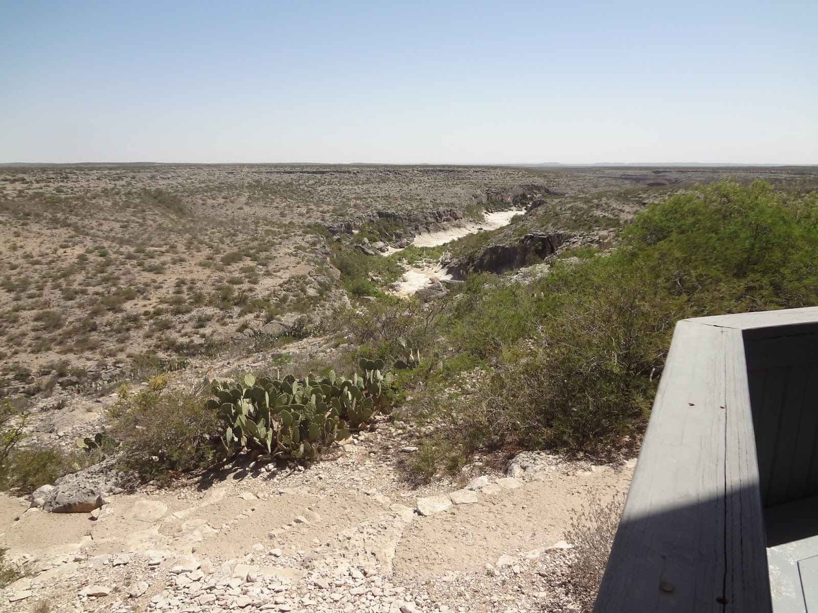 The travels of the Rambling Roses: Uvalde Tx to Del Rio Tx March 23-24