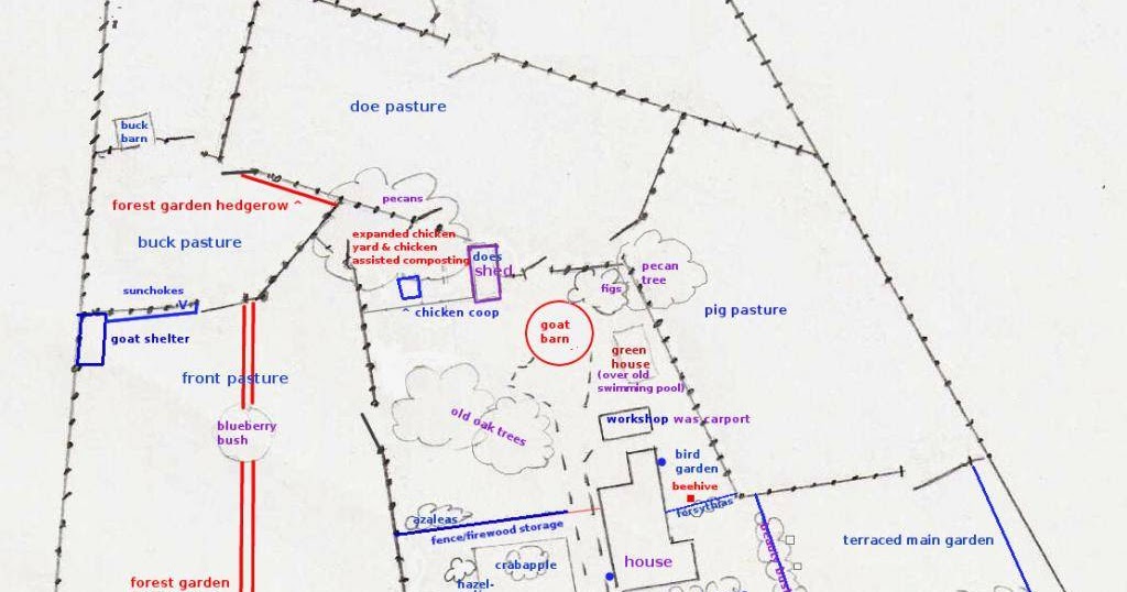 5 Acres & A Dream: Planning for Forest Garden Hedgerows