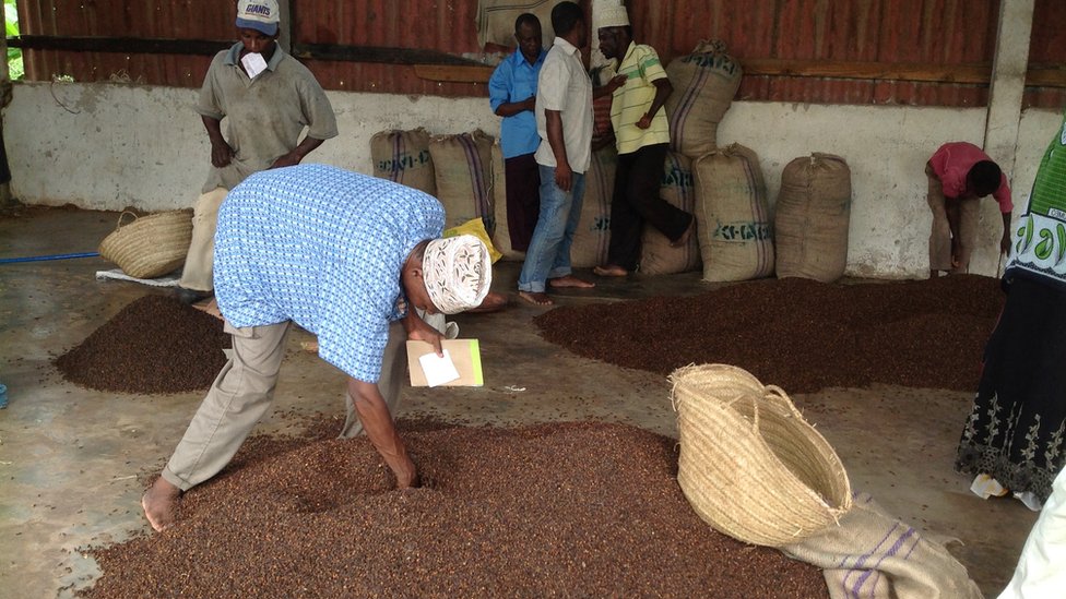 Zanzibar clove production drops by 60% | Tanzania Exchange