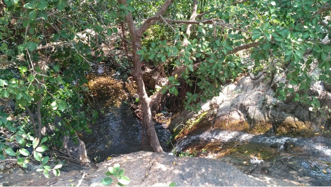 Waterfalls Near Chennai: KAILASA KONA WATERFALLS ( KONAI FALLS)