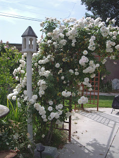 Cottage by Design with Trish Banner