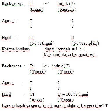 Hukum Pewarisan Sifat | de Biology