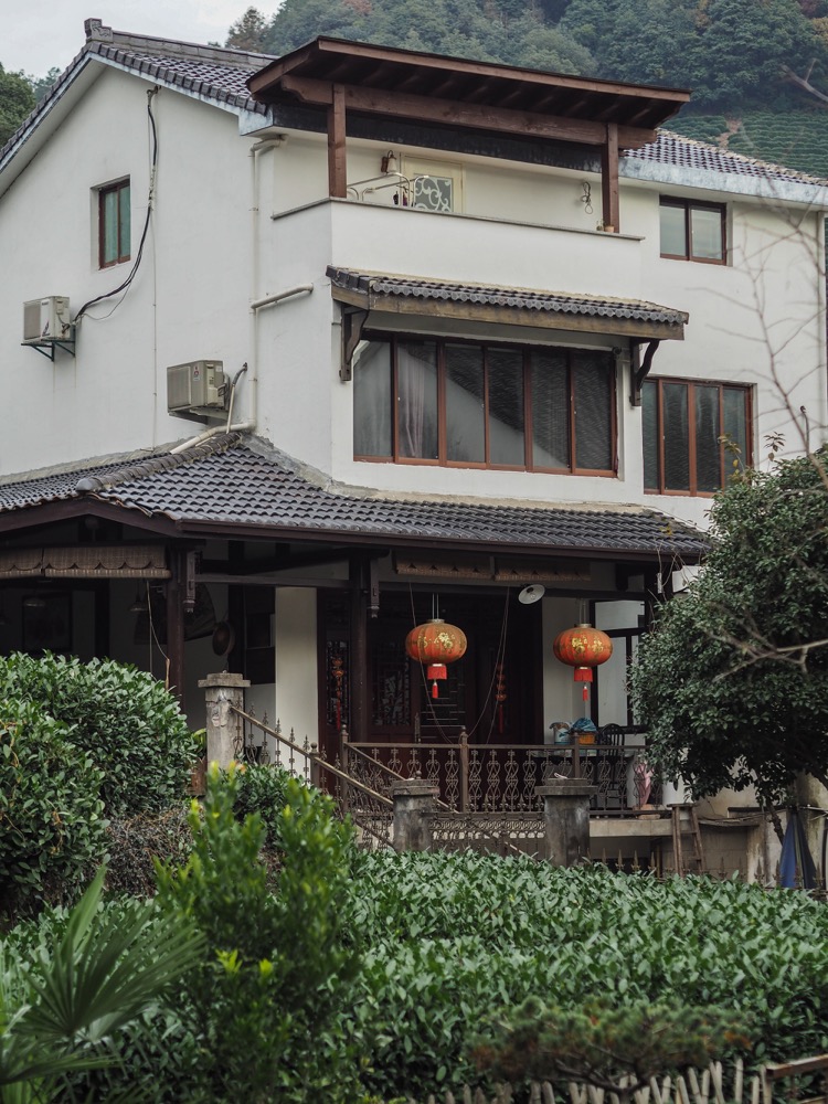 China: the tea fields of Longjing- the source of the best tea in China ...