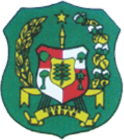 Logo Kota Medan - Gudang Gambar Vector PNG