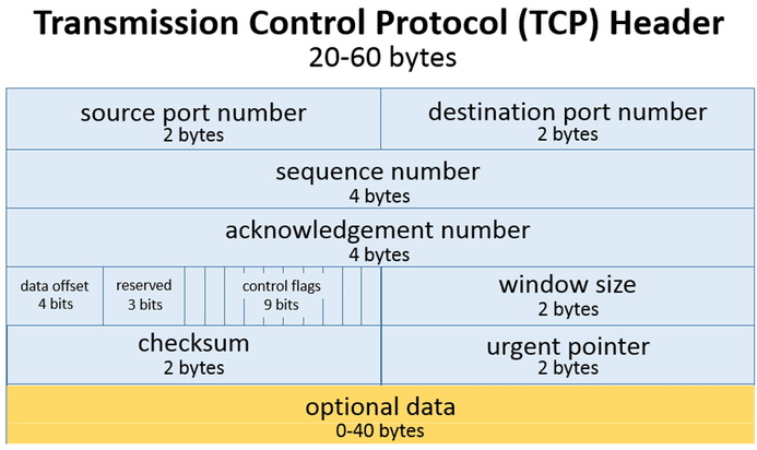 Networking And Scripting Tcp Interview Questions