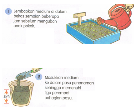 Hijau Bumi Tuhan: 3.0 Penanaman Pokok Tanaman Hiasan