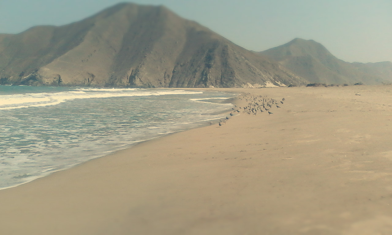 Casma, el lugar donde quiero vivir: El puerto Casma y el Balneario de ...