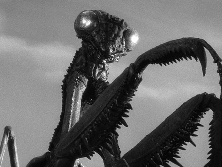 13: THE DEADLY MANTIS / Universal International Pictures - 1957