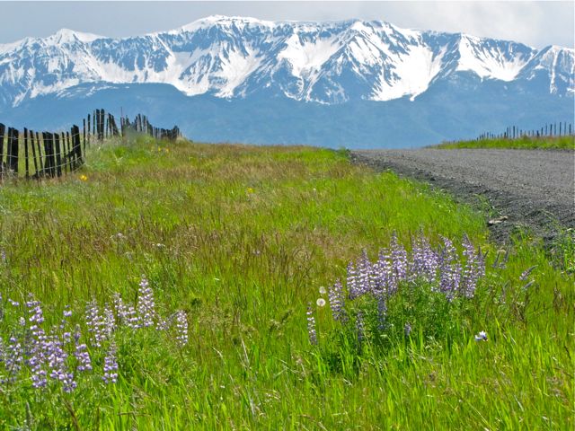Zumwalt Prairie and Buckhorn Springs – Praise Photography