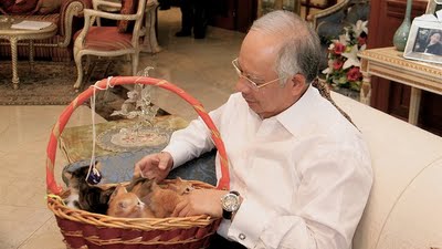 Cute : Kucing Peliharaan Dato' Sri Najib Tun Razak (6 Gambar) | Aku ...