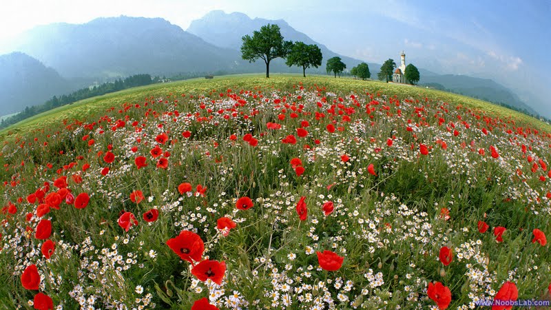 Best Webshots HD Wallpapers - NoobsLab | Eye on Digital World