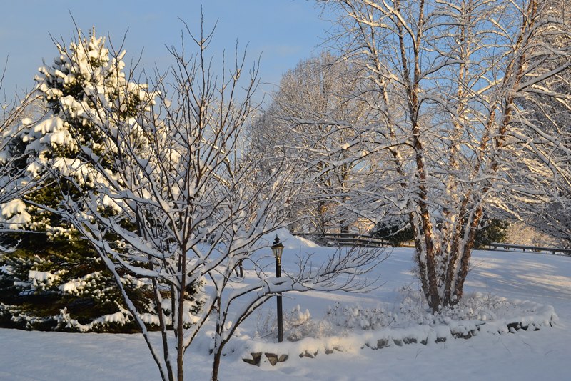 SWAC Girl: Sun peeks through ... snowy Monday morning