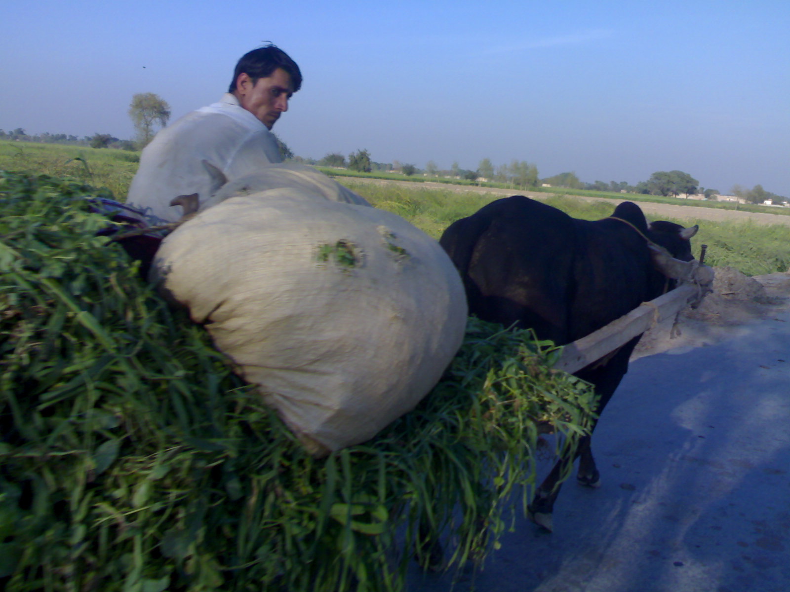 VEHARI IS BEAUTIFUL CITY OF PAKISTAN: FAMOUS VILLAGES IN VEHARI