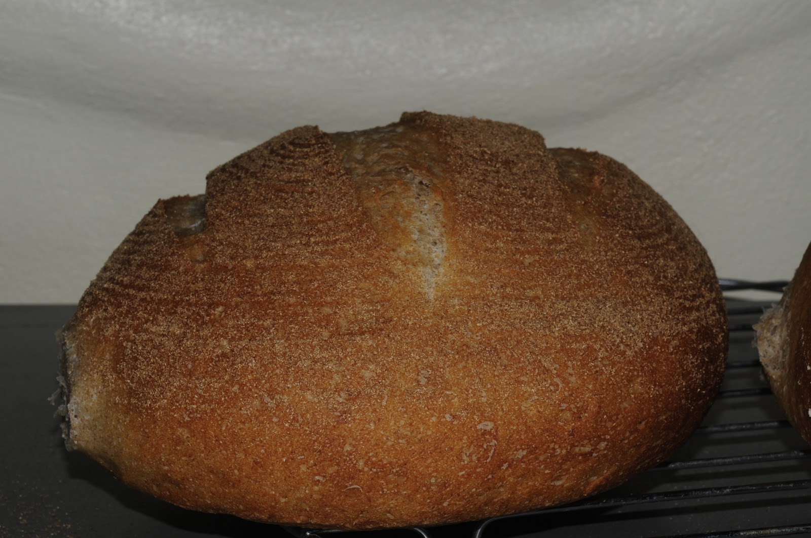 my discovery of Bread: French countryside bread with poolish