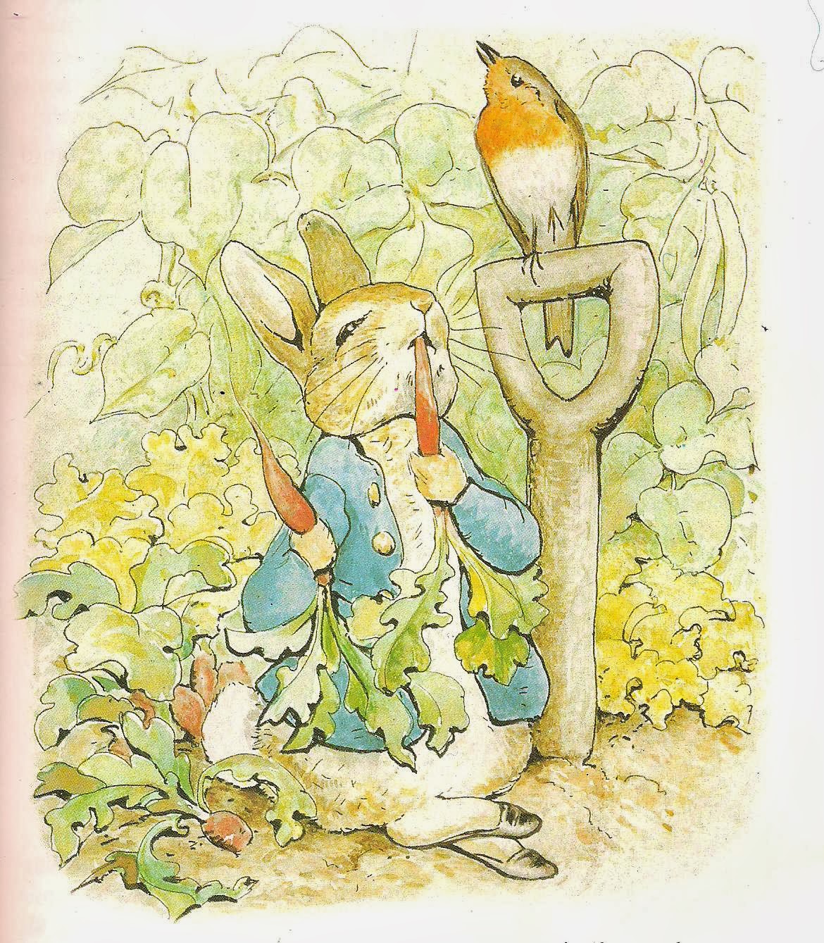 Summer of Illustration : Beatrix Potter, English author, Illustrator ...