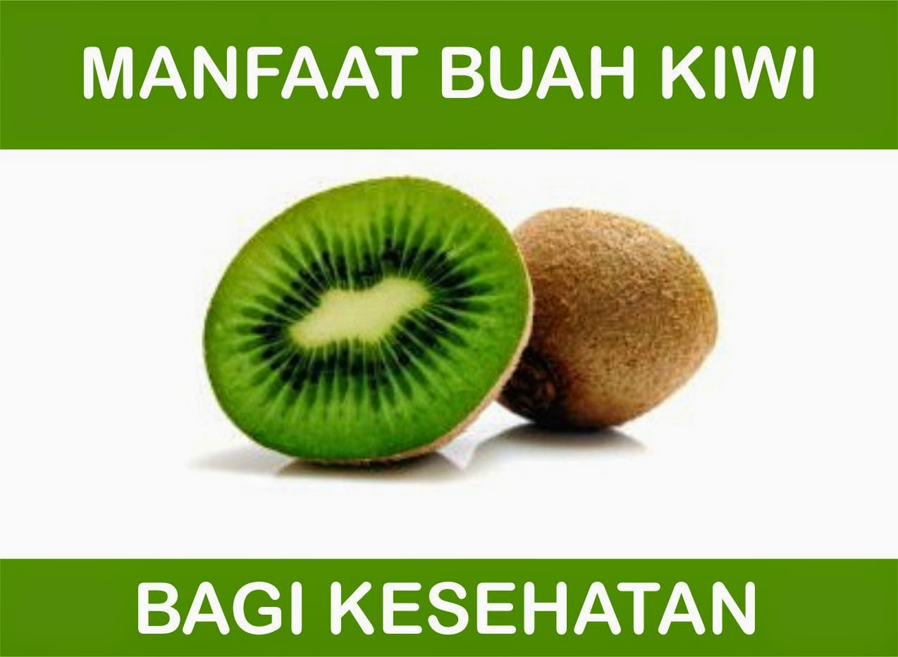 Beragam Manfaat Buah Kiwi Bagi Kesehatan & Kecantikan, Terutama Bagi ...
