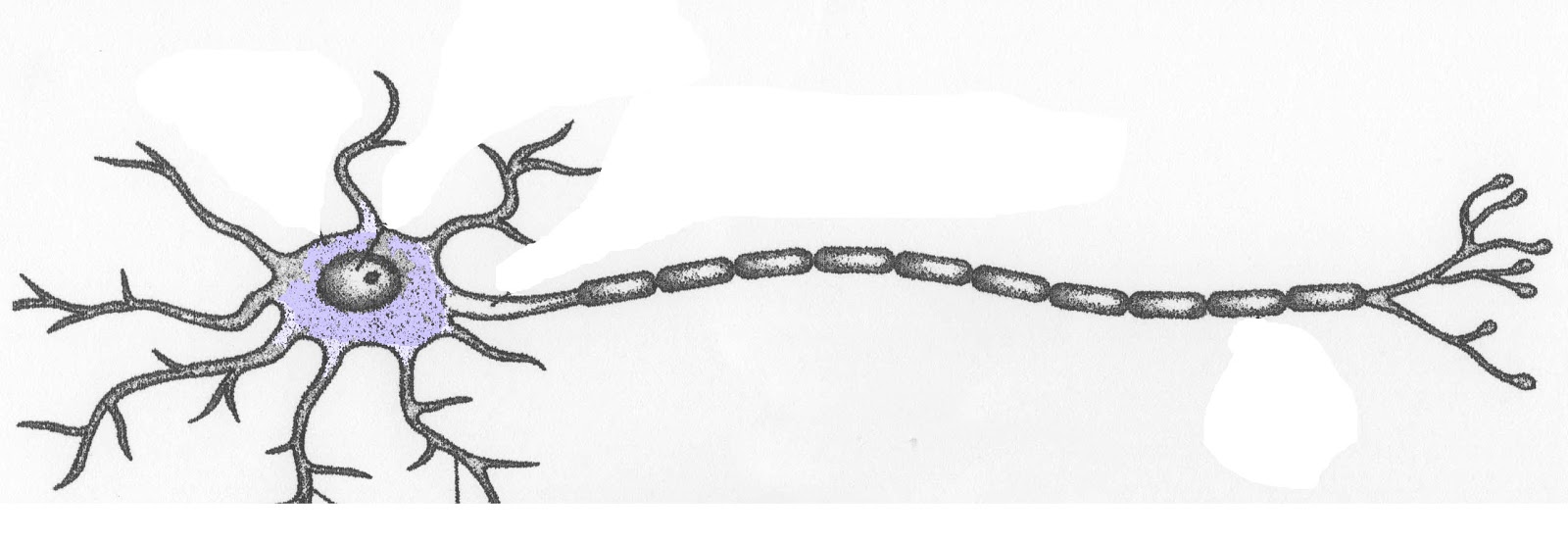 Global Peace News: The Human Brain - A Truly Marvelous Organ