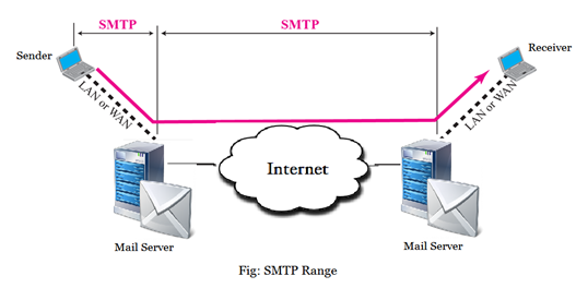 Online Smart Trainer