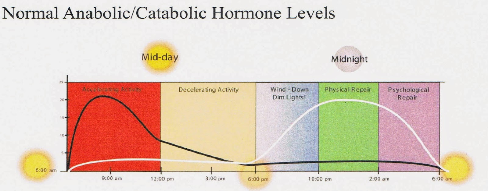 End Your Muscle Pain: The Missing Link to Pain Relief
