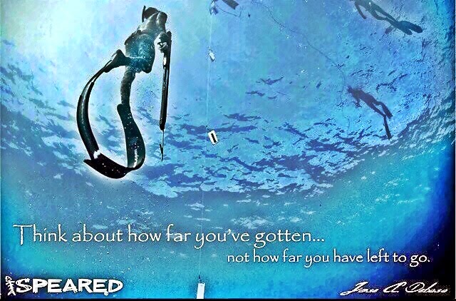 “The Nature-Deficit Disorder: Orr Biophilia vs. Biophobia