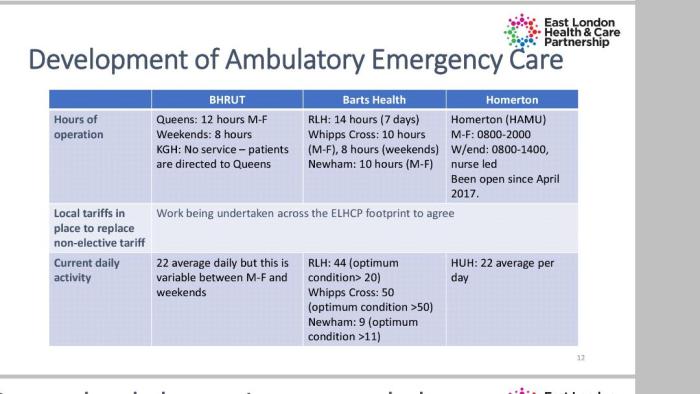 Save King George Hospital: Asking BHRUT to produce report on Erica Ward ...