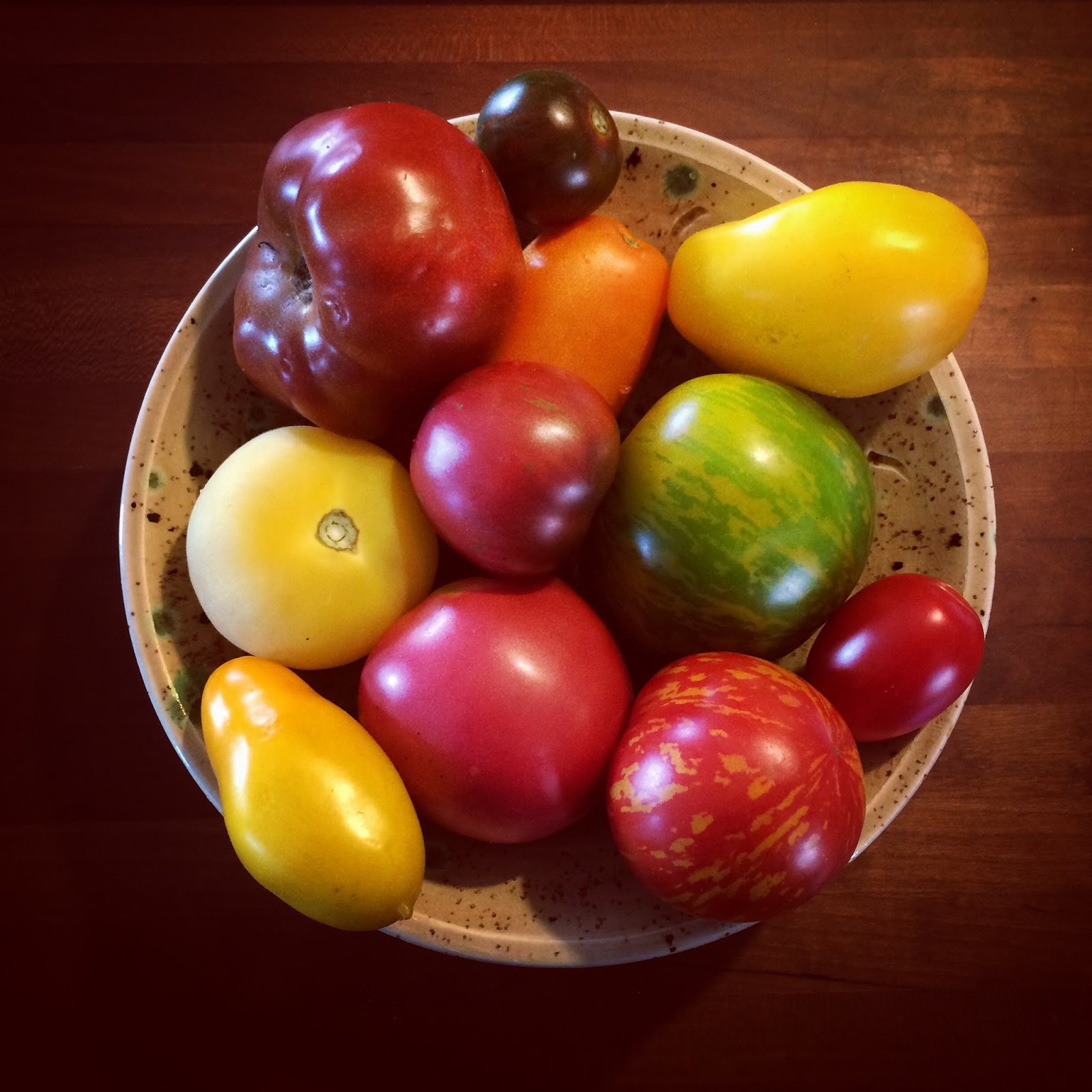 Fetching Fun: Food Series