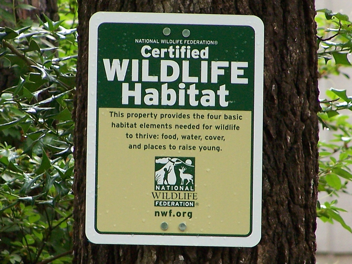 Green Place: Wildlife Habitat