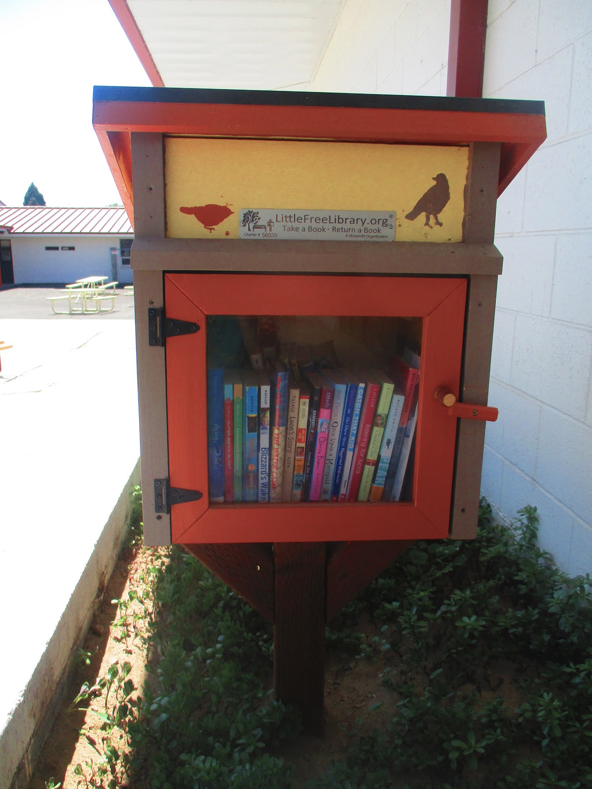 Book Exchange Boxes and Little Free Libraries - Carson City Family