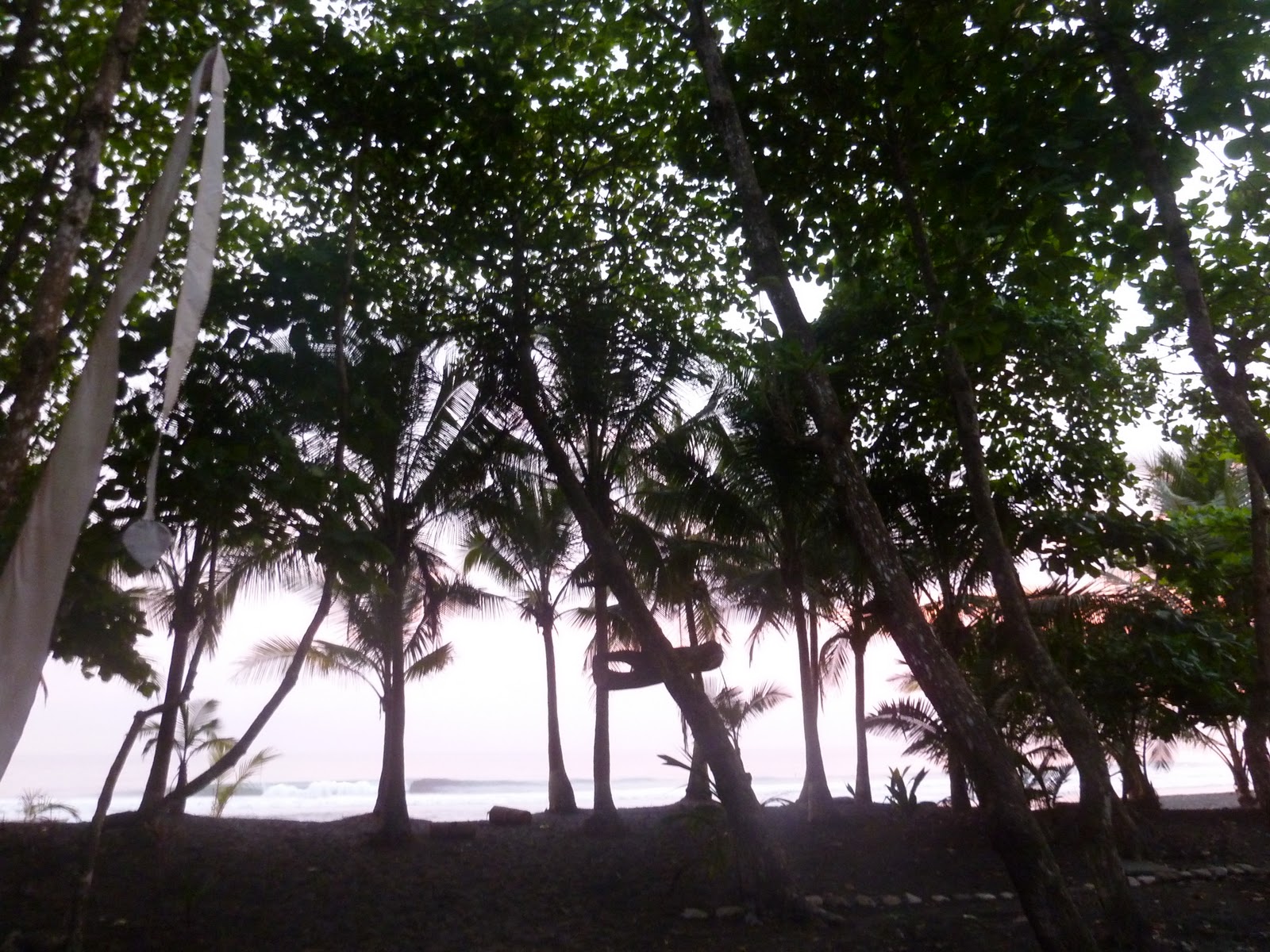 Beach Junkie: El Almendro... Playa Hermosa, Costa Rica
