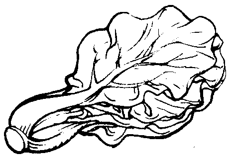 Sekitar Kawasan Sekolah: Gambar outline_Buah Sayur