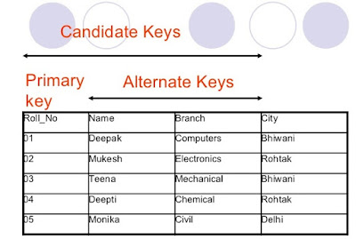 What Is The Difference Between Primary Key And Candidate What Is The
