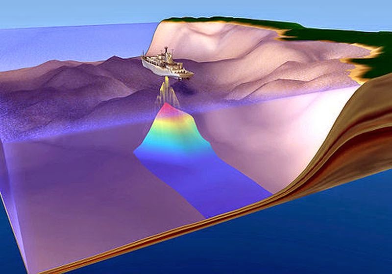 ¿QUÉ ES EL ECO? | PREGUNTAS Y RESPUESTAS