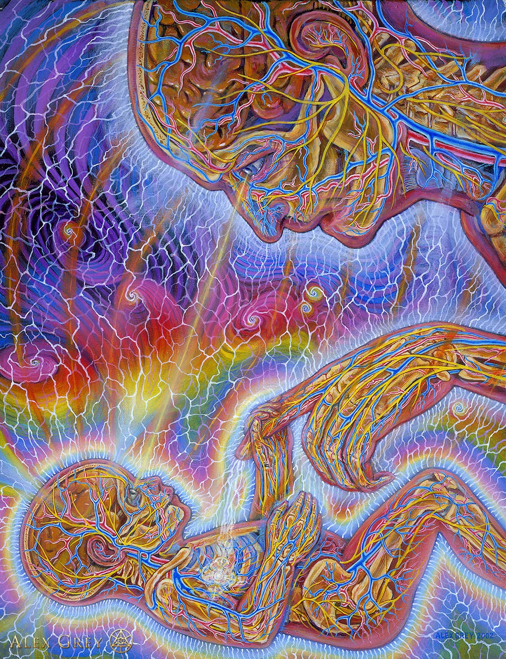 "Progress Of The Soul" por Alex Grey Part.1 | Psychedelia