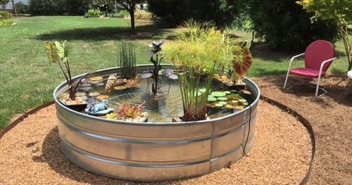 Two Men and a Little Farm: STOCK TANK POND INSPIRATION THURSDAY