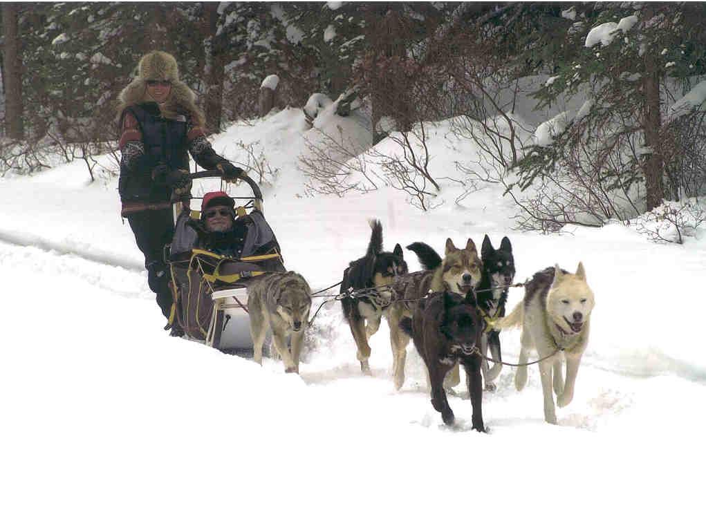 Parrots, Paddling, and Ponderings: What do paddlers do when water ...