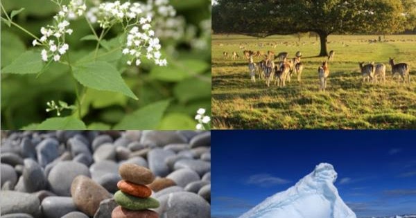 Portafolio Digital: FACTORES ABIOTICOS Y ECOLOGIA