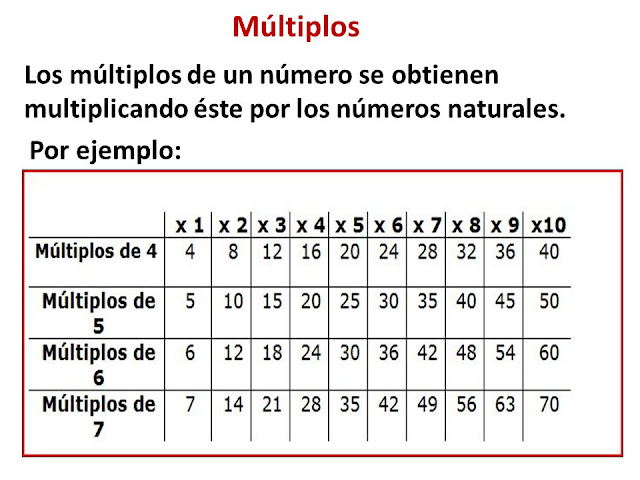 Maestro San Blas: MT6