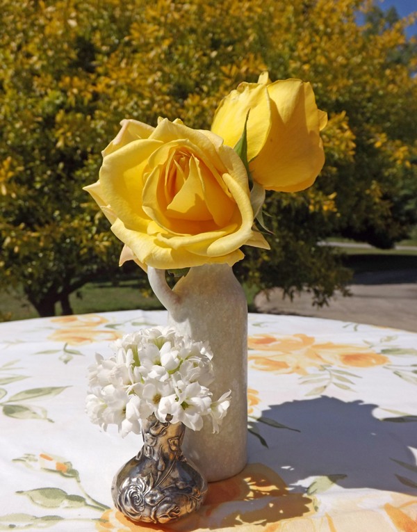 MARIETTE'S BACK TO BASICS: {Our Oregold Roses and AARS Winner}