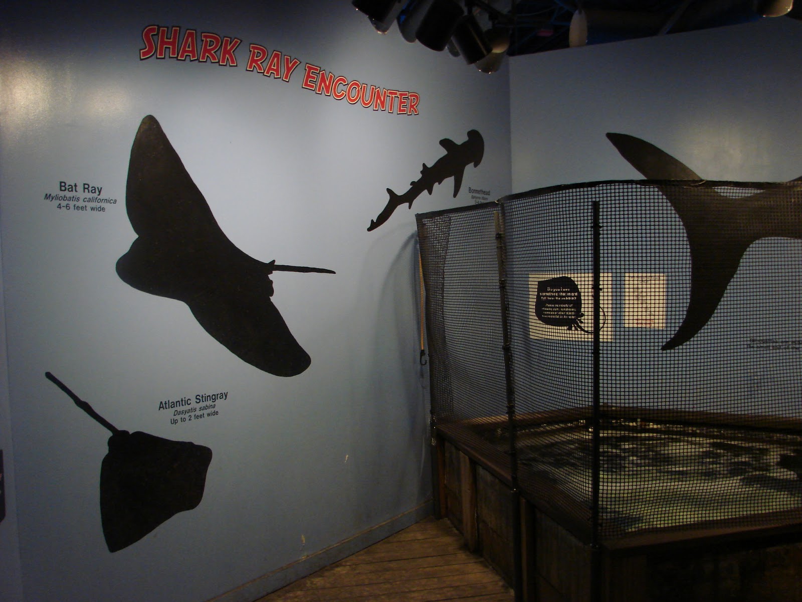 SMCM Museum Studies - US Southwest - 2013: Albuquerque Aquarium