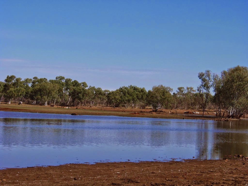 Solo Steve On The Road: DAJARRA WATERHOLE, OUTBACK Qld