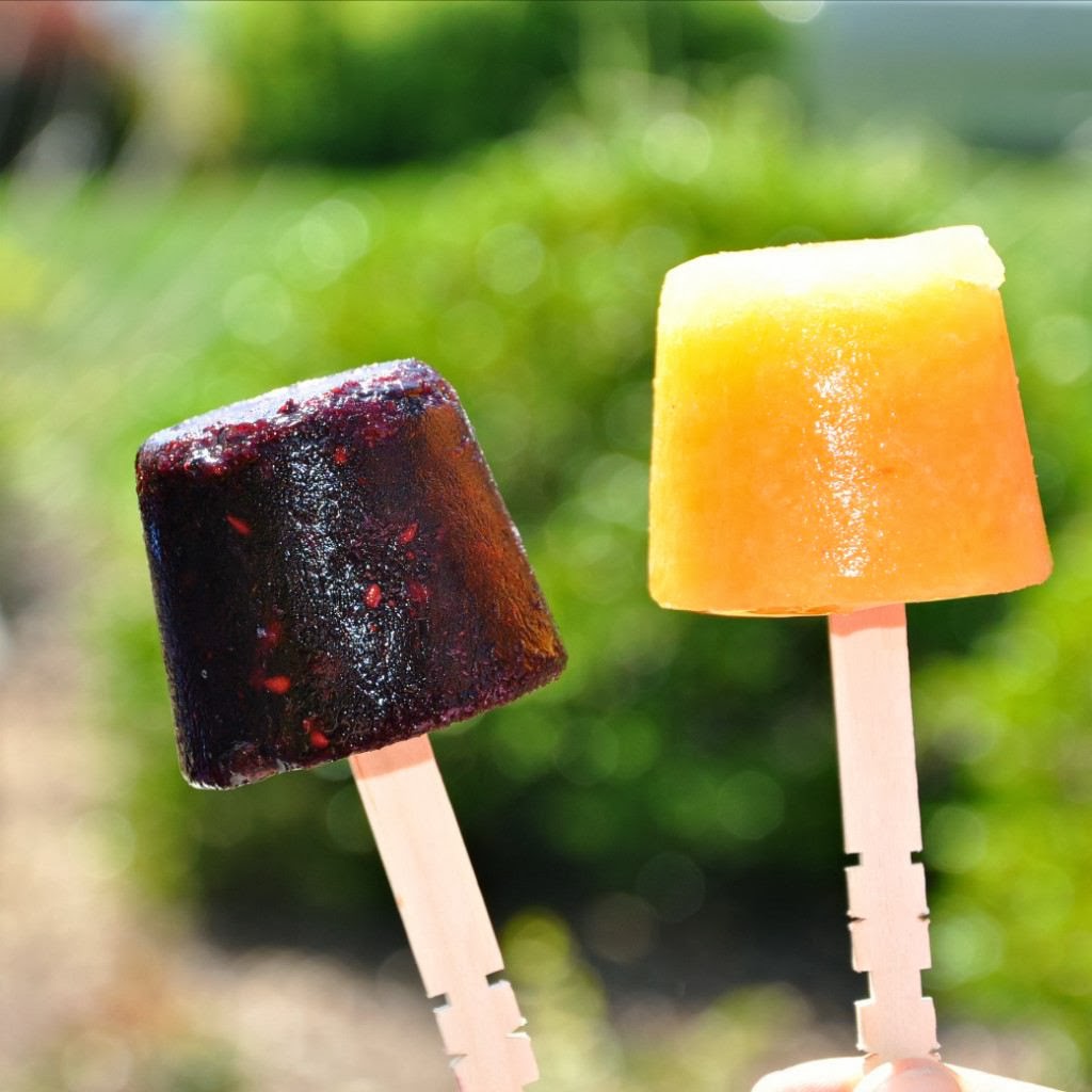 Vida Natural: Paletas heladas de frutas