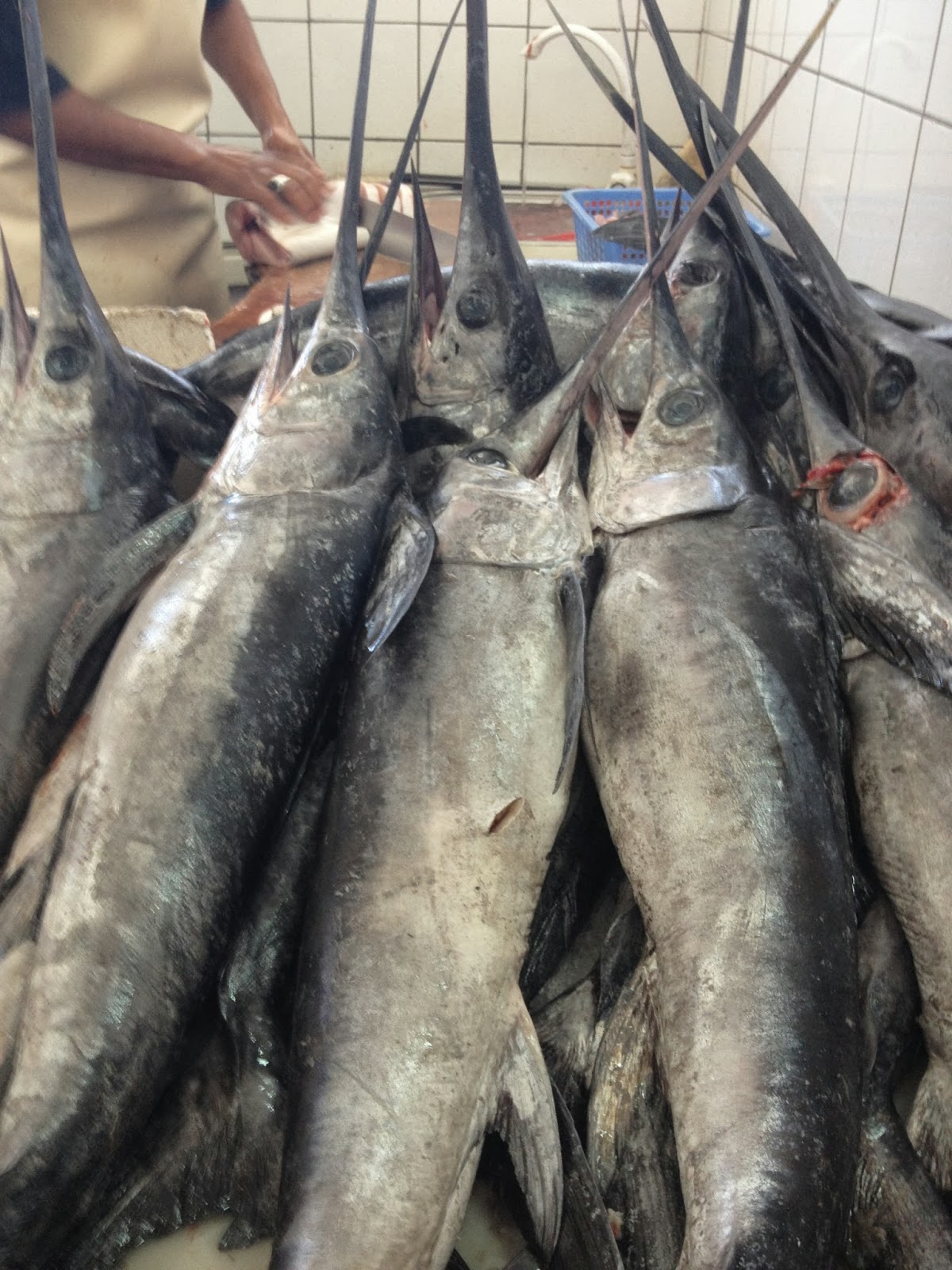 Chef-Chef-Chef: Fish Market in Tripoli,