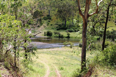 National Park Odyssey: Linville, QLD
